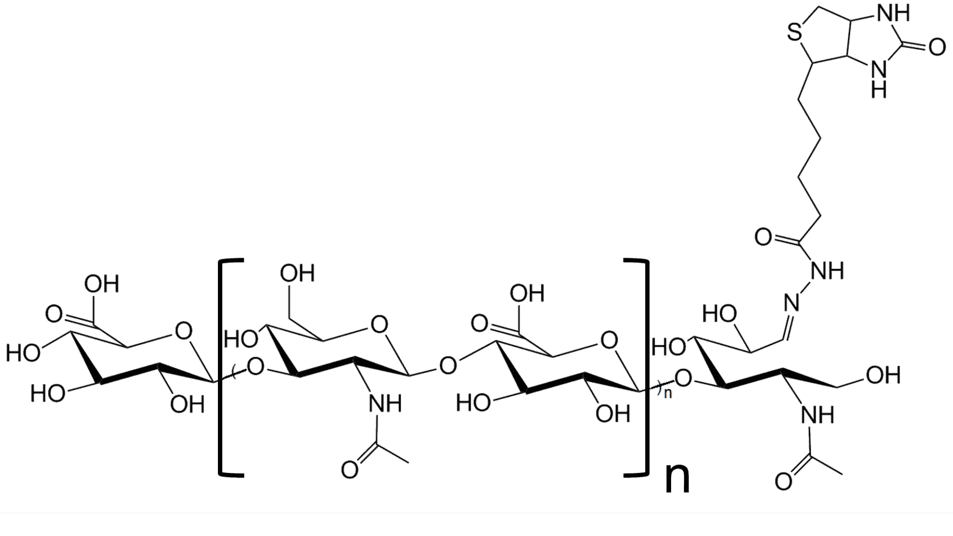 Mono-Biotin Labeled Hyaluronan, MW 10k - Creative PEGWorks | PEG ...